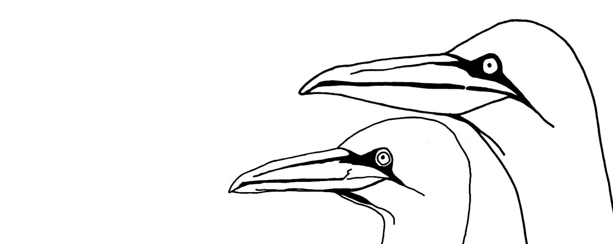 The Invention of Disappointment (July, 2018) – Stephen Rutt