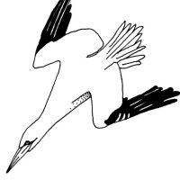 The Invention of Disappointment (July, 2018) – Stephen Rutt