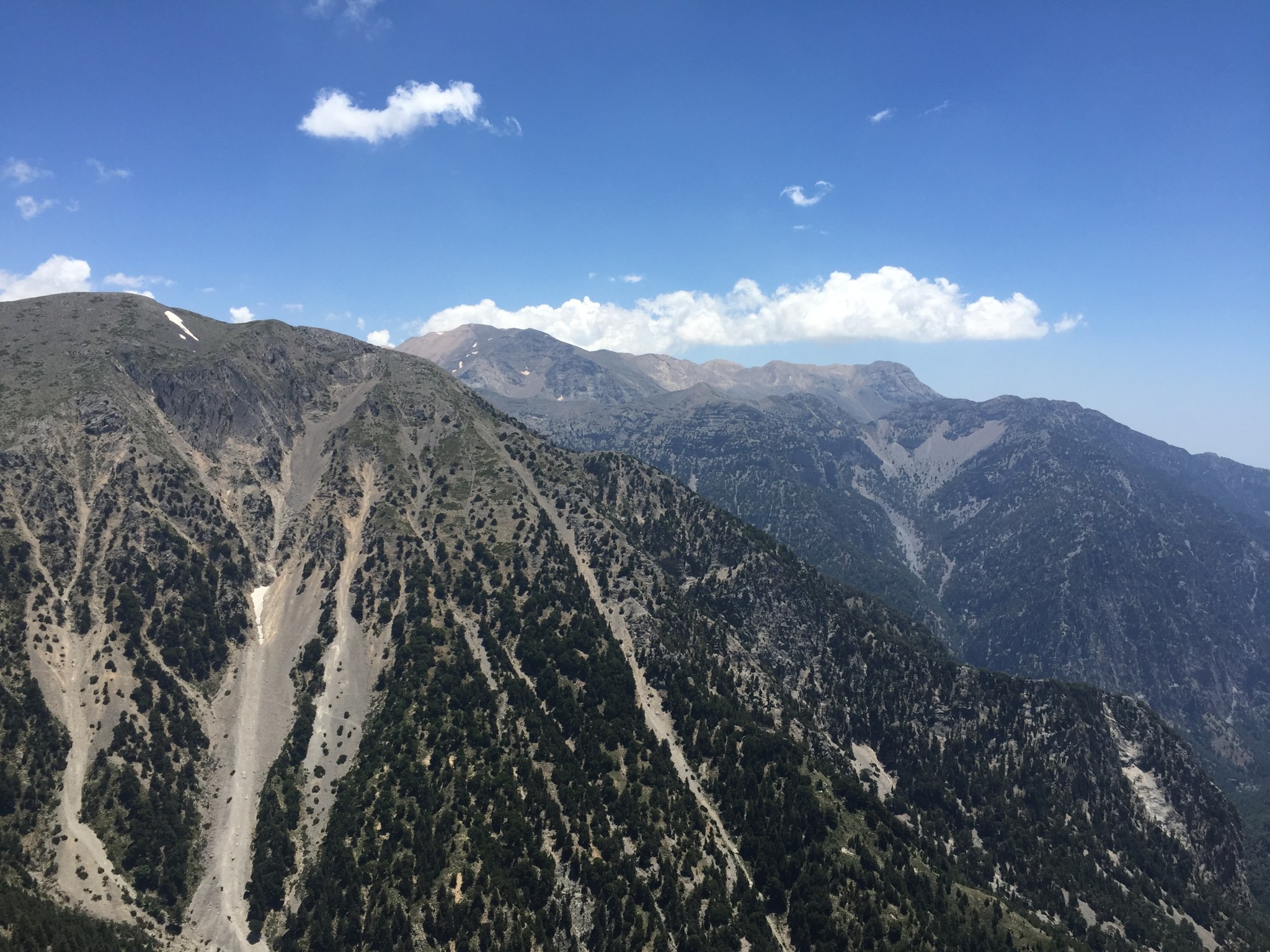 In the White Mountains – Stephen Rutt