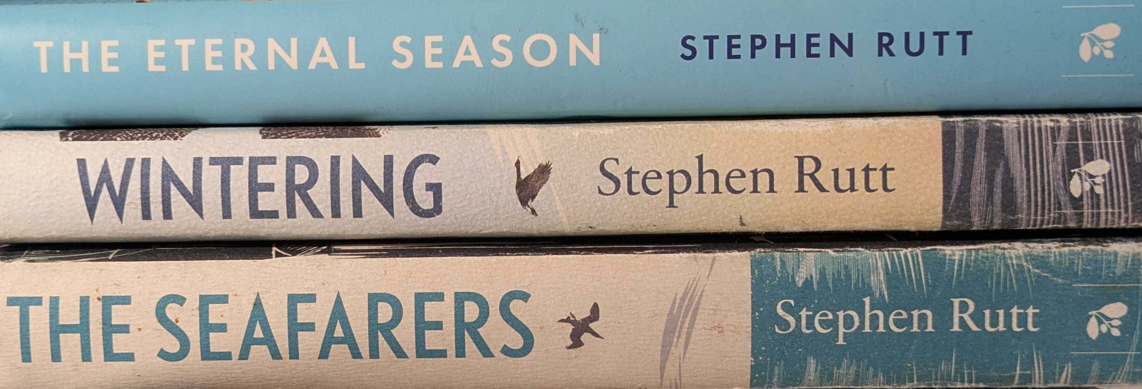 Mentoring – Stephen Rutt
